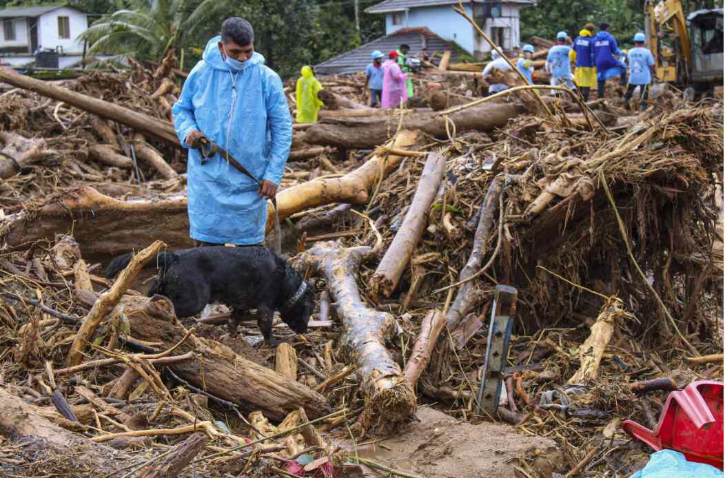 వయనాడ్‌లో 5వ రోజు కొనసాగుతోన్న సహాయక చర్యలు.. | Relief operations in ...