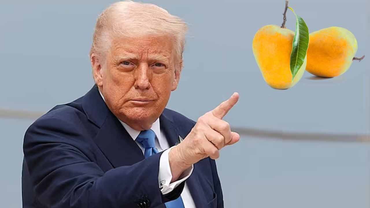 తెలంగాణ మామిడి రైతులకు ట్రంప్ దెబ్బ | Trump's blow to Telangana farmers